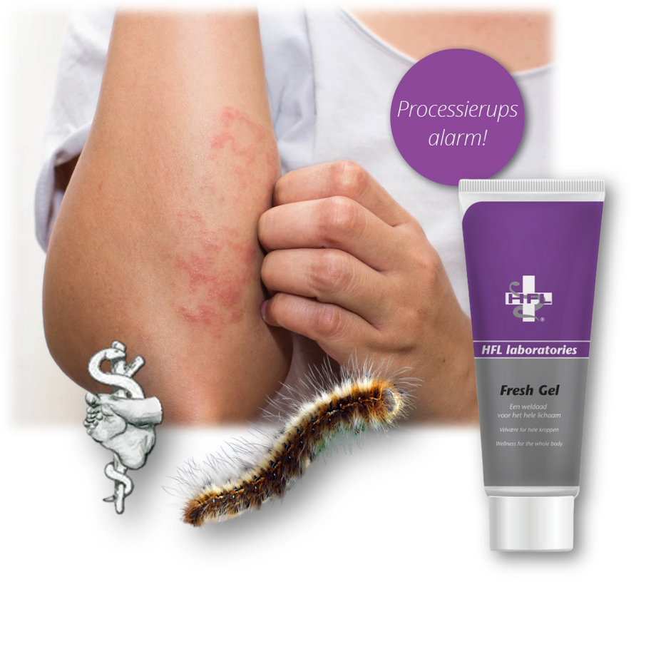 Eikenprocessierups - Medisch pedicure praktijk Dordrecht | HFL Fresh Gel